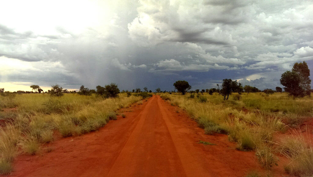 About Aboriginal Art | 'Dreamtime' and 'The Dreaming' | Art Ark