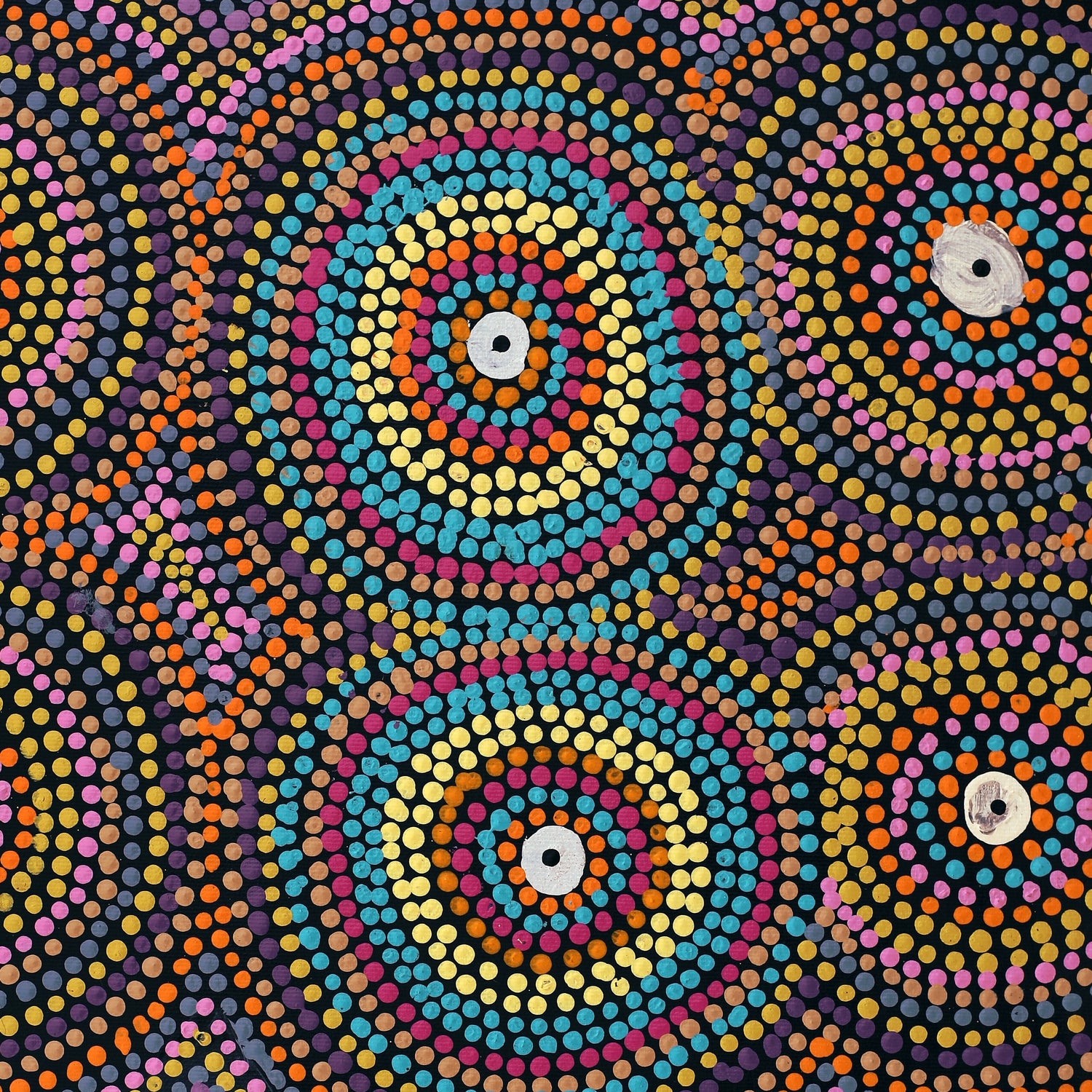 Aboriginal Art by Daisy Napangardi Frank | 50x40cm | 1532 - ART ARK®