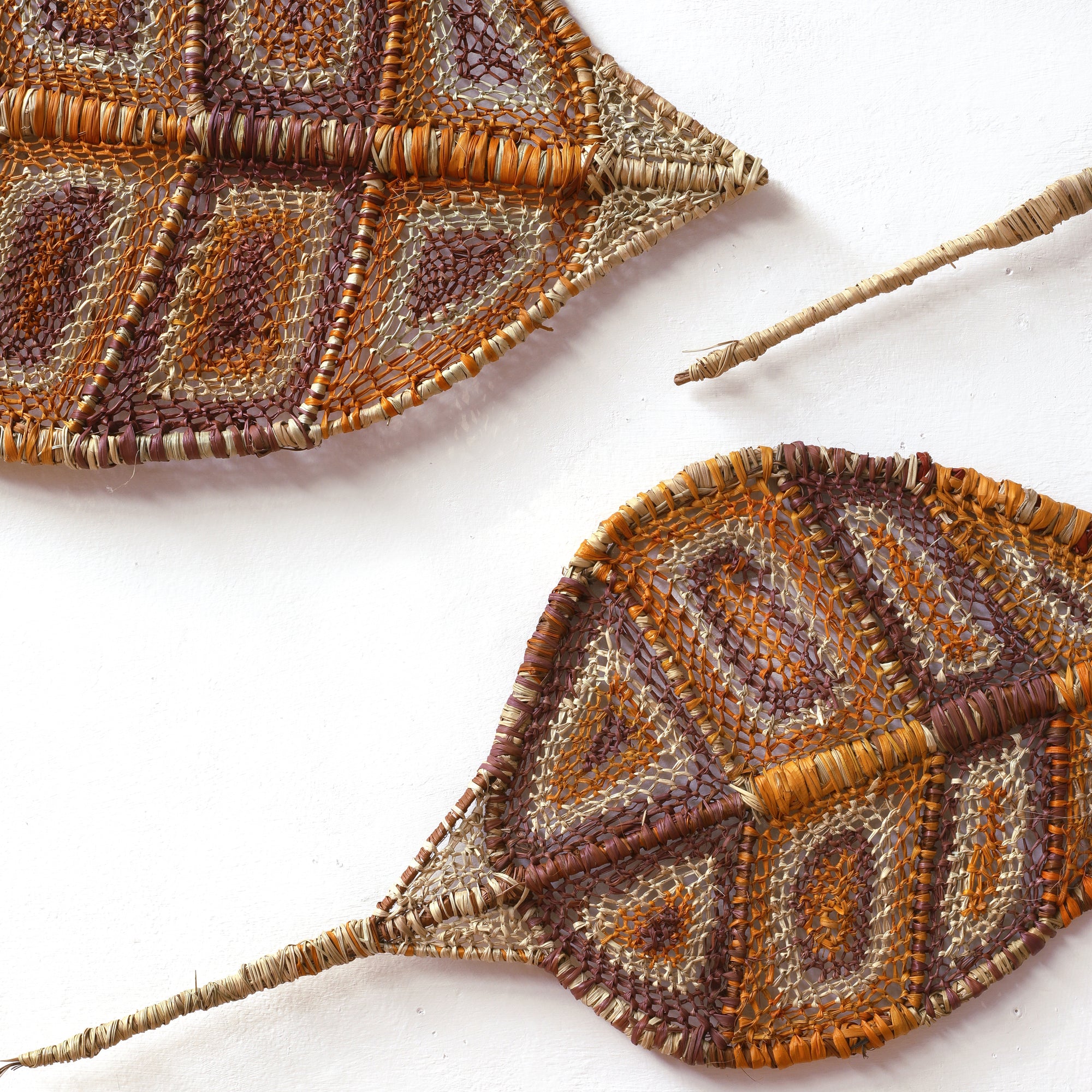 Dorothy Bunibuni - Stingray Group Weaving | 1094 - ART ARK®