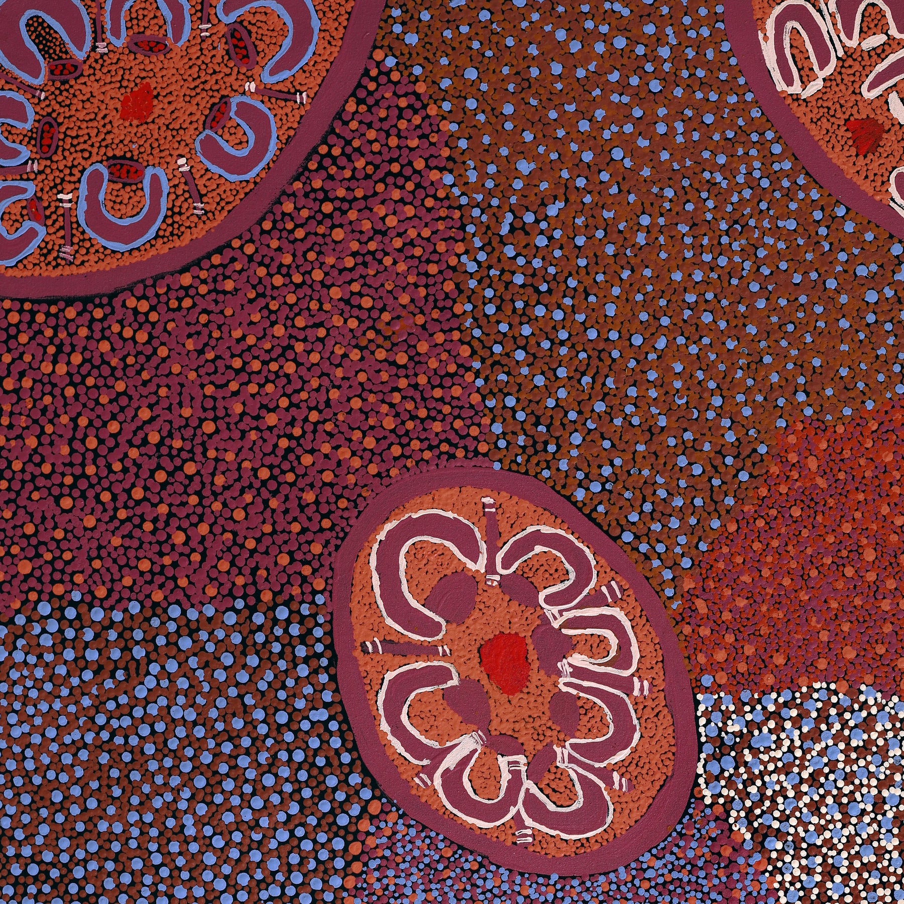 Nora Davidson - Aboriginal Art | 101x76cm | 080 - ART ARK®