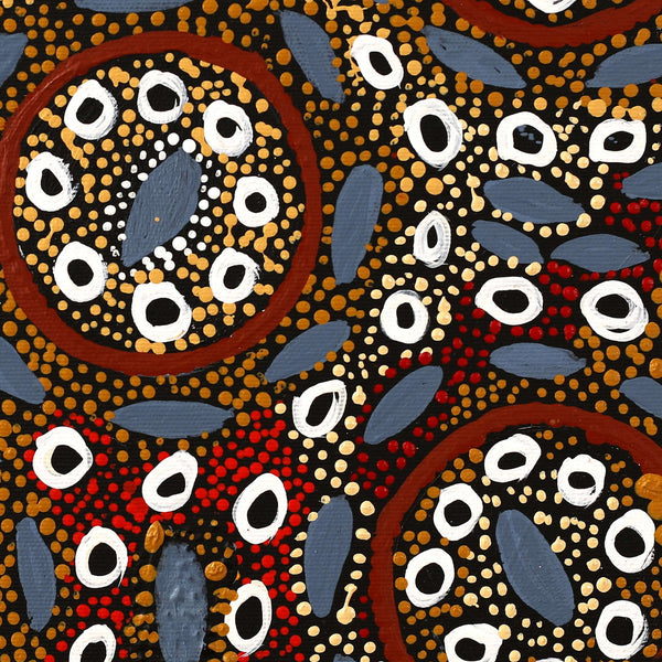 Agne Nampijinpa Fry - Aboriginal Art | 30x30cm | 2089 - ART ARK®