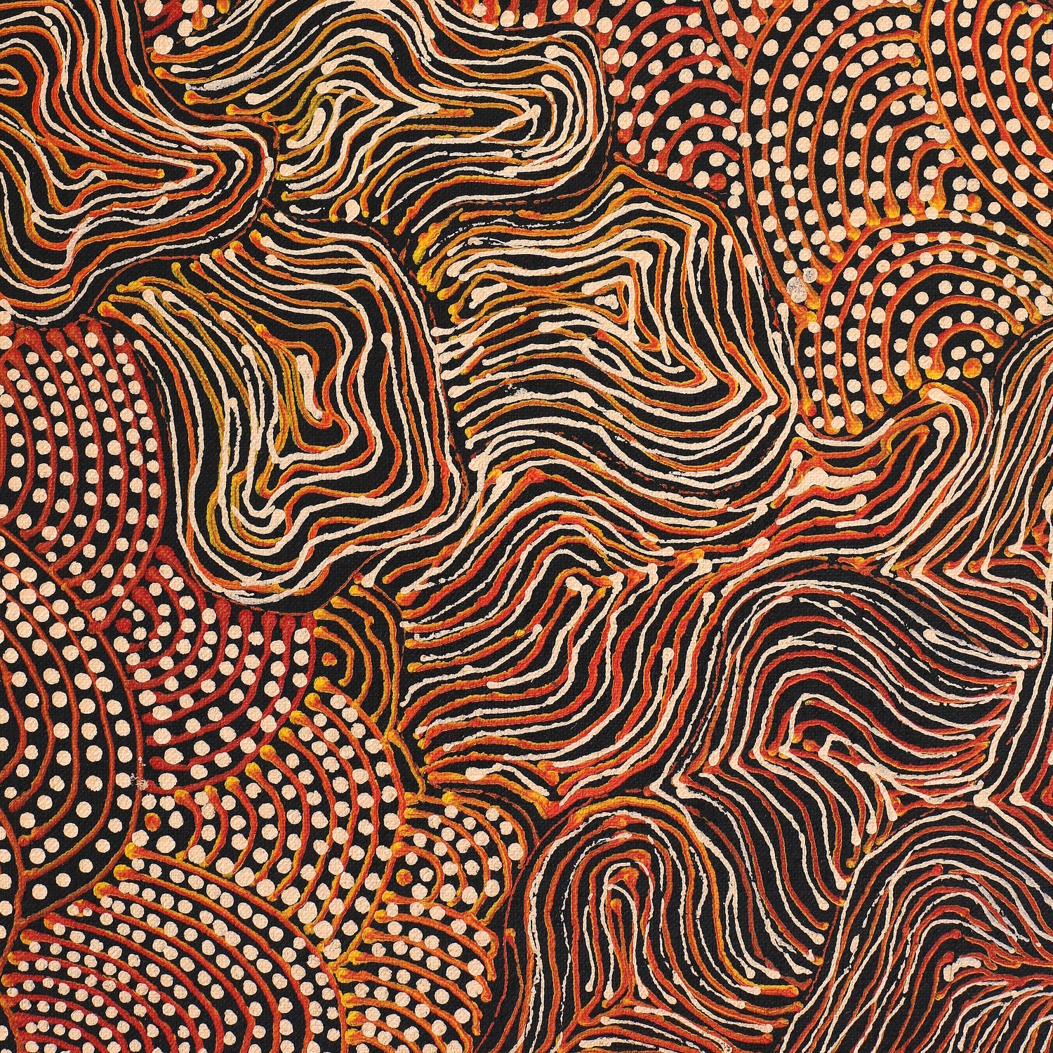 Grace Napangardi Butcher - Aboriginal Art | 76x61cm | 7653 - ART ARK®