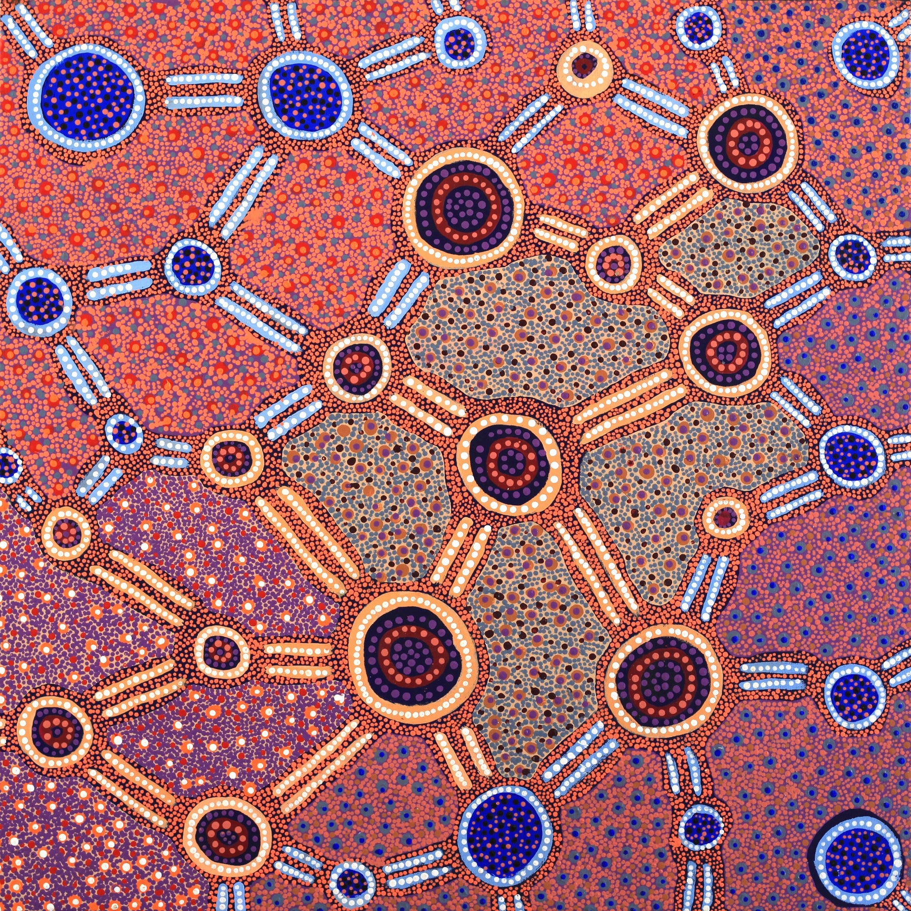 Jennifer Lewis, Lukarrara Jukurrpa | Aboriginal Art | Art Ark