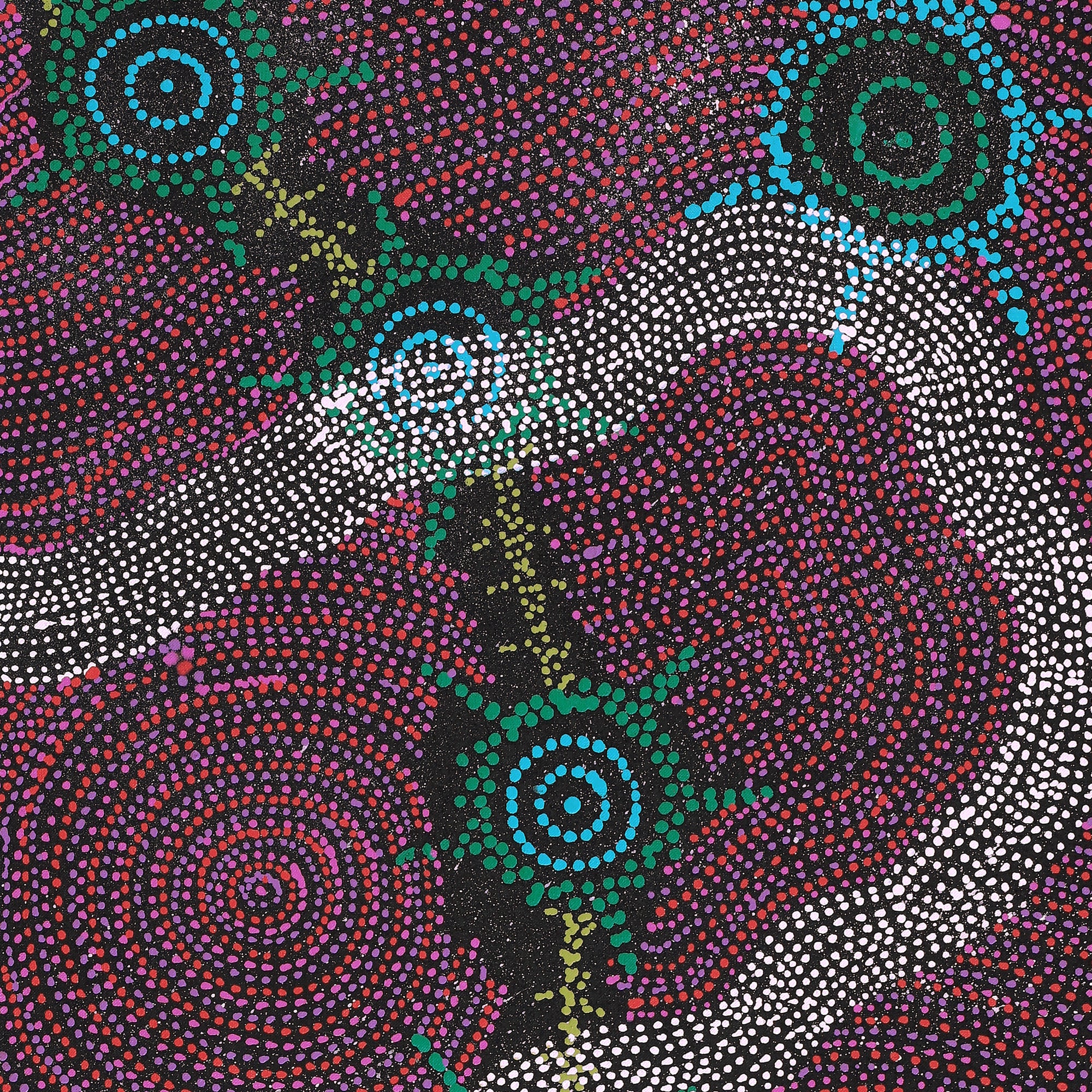 Shanna Williams - Aboriginal Art | 107x46cm | 6648 - ART ARK®