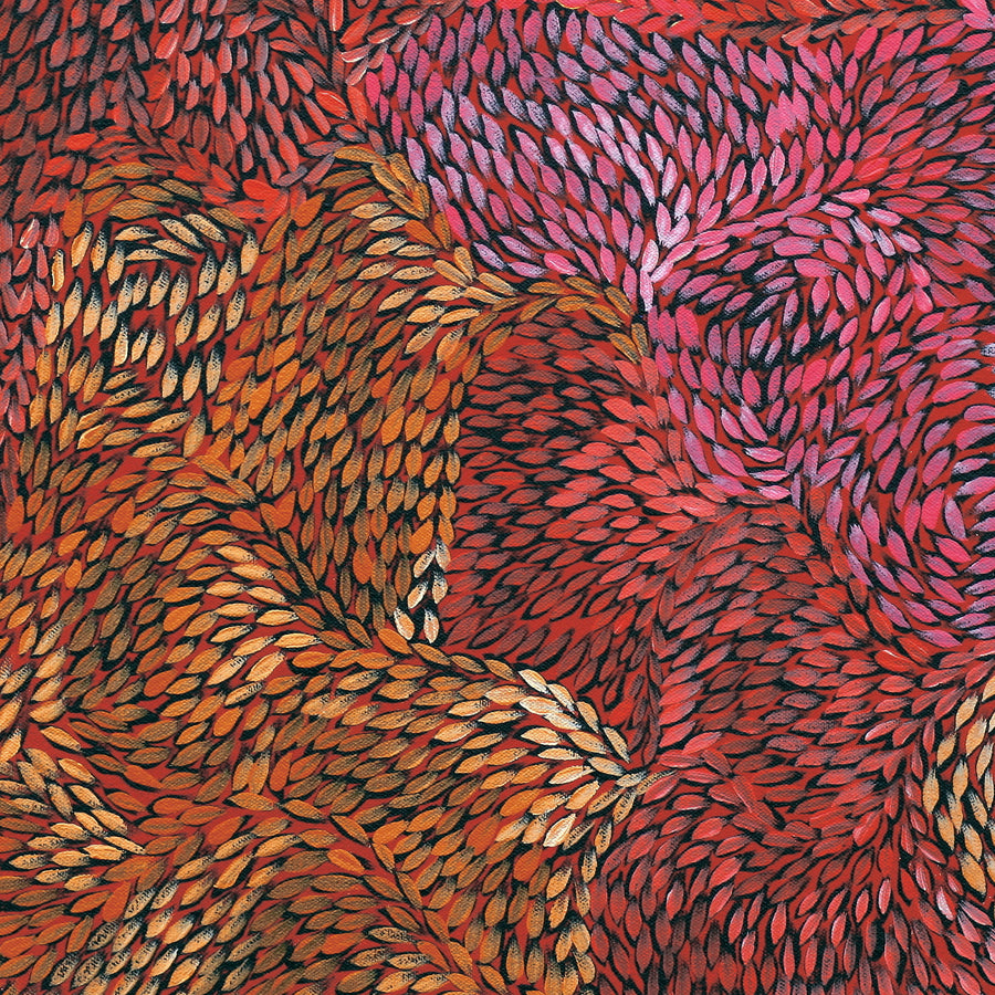 Daphne Napururrla Marks - Aboriginal Art | 50x50cm | DM153 - ART ARK®